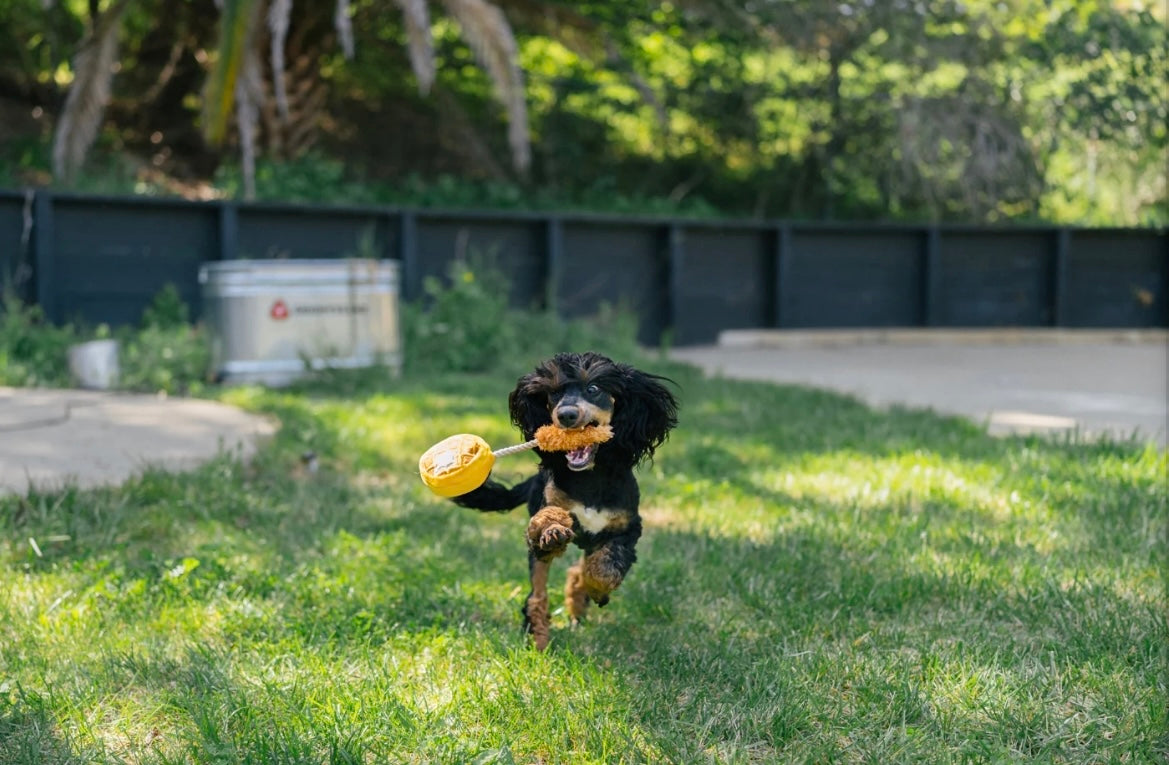 Chicken Woofle | Fun dog toys | Dog Bakery Stockholm