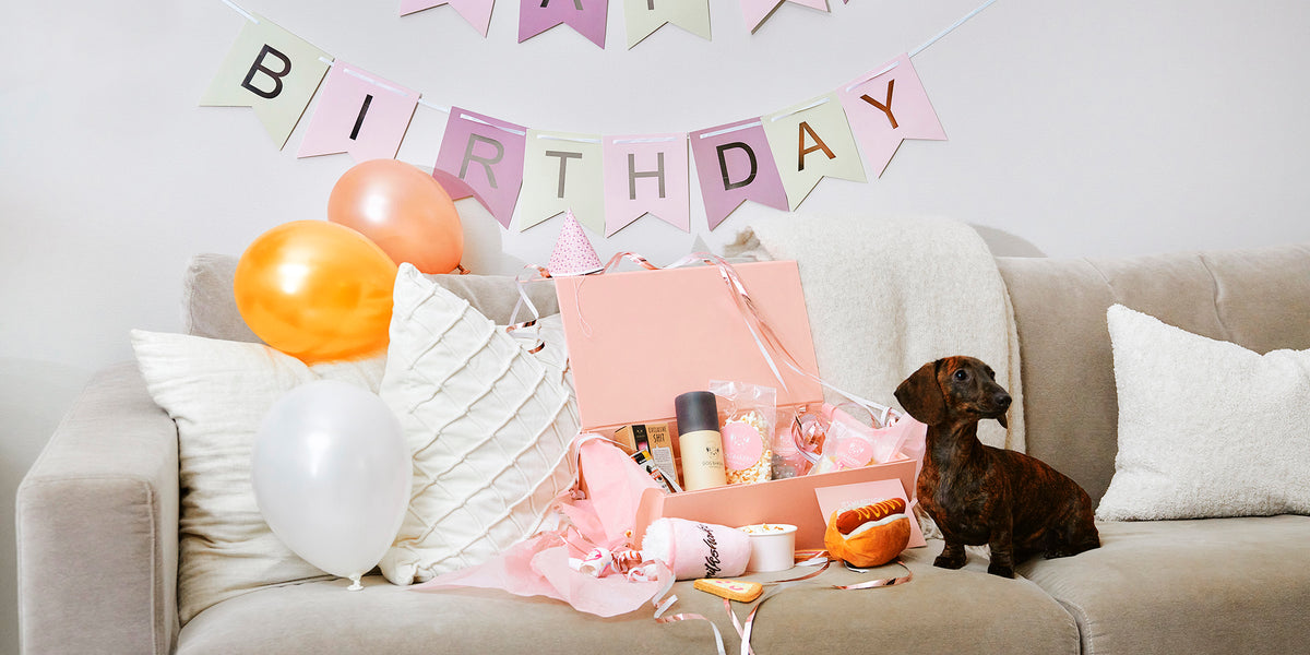 Dog Bakery Stockholm | A bakery for dogs