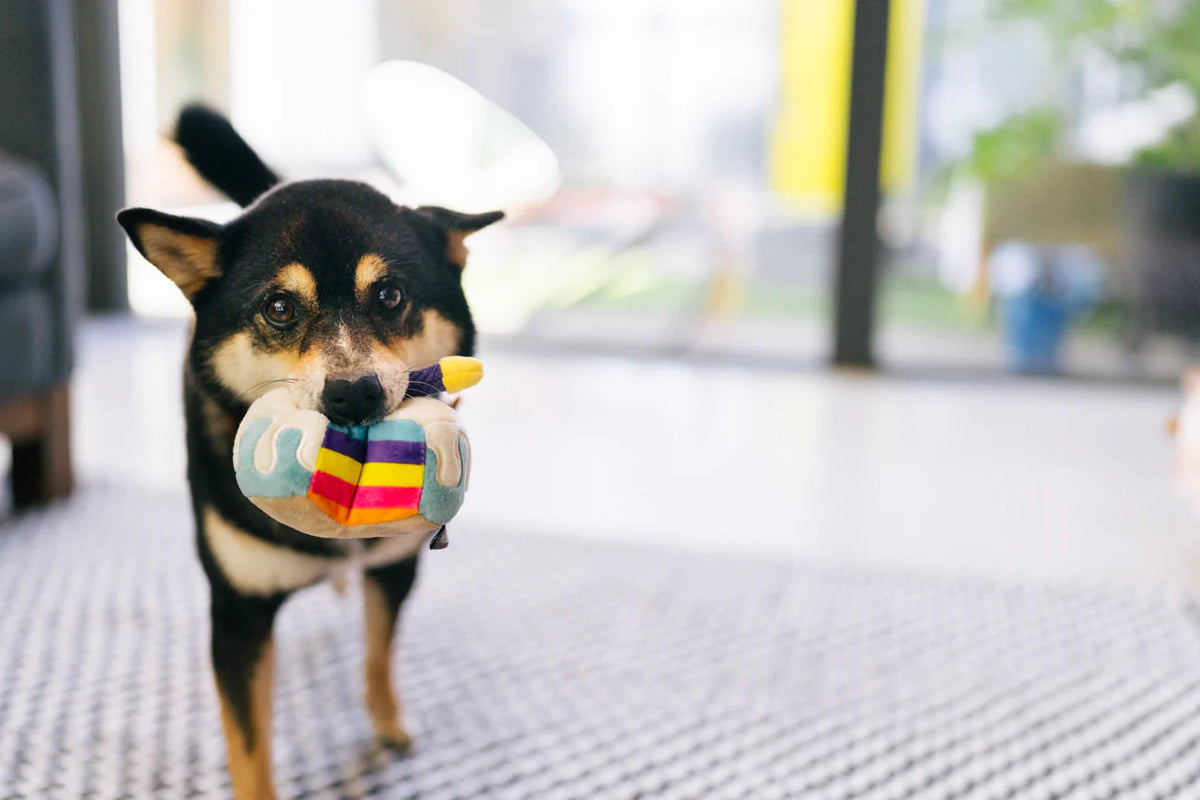 Chicken Woofle | Fun dog toys | Dog Bakery Stockholm